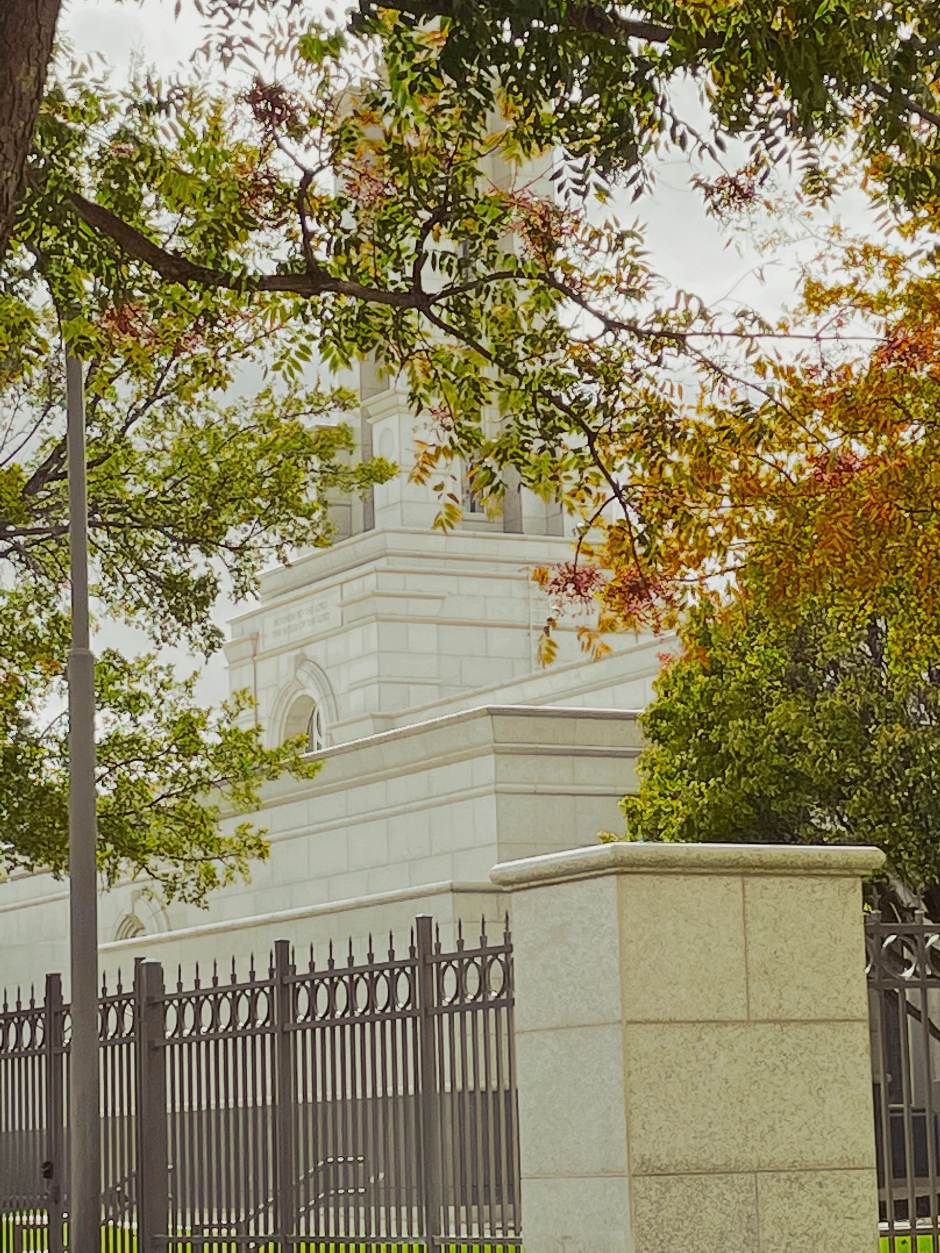 Backus Law - Estate Planning, Healthcare Attorney, Estate Planning ...